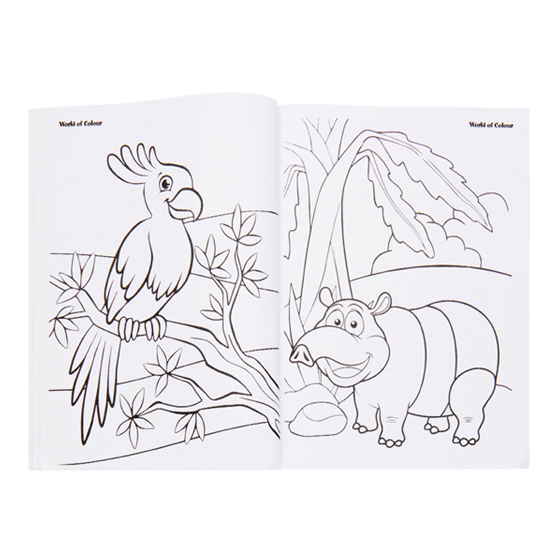 Colouring & Activity Books – Write Away Stationery
